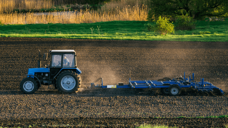 Bob Dylan Joins Farm Aid 40: A Legendary Lineup for a Landmark Cause – KNCT