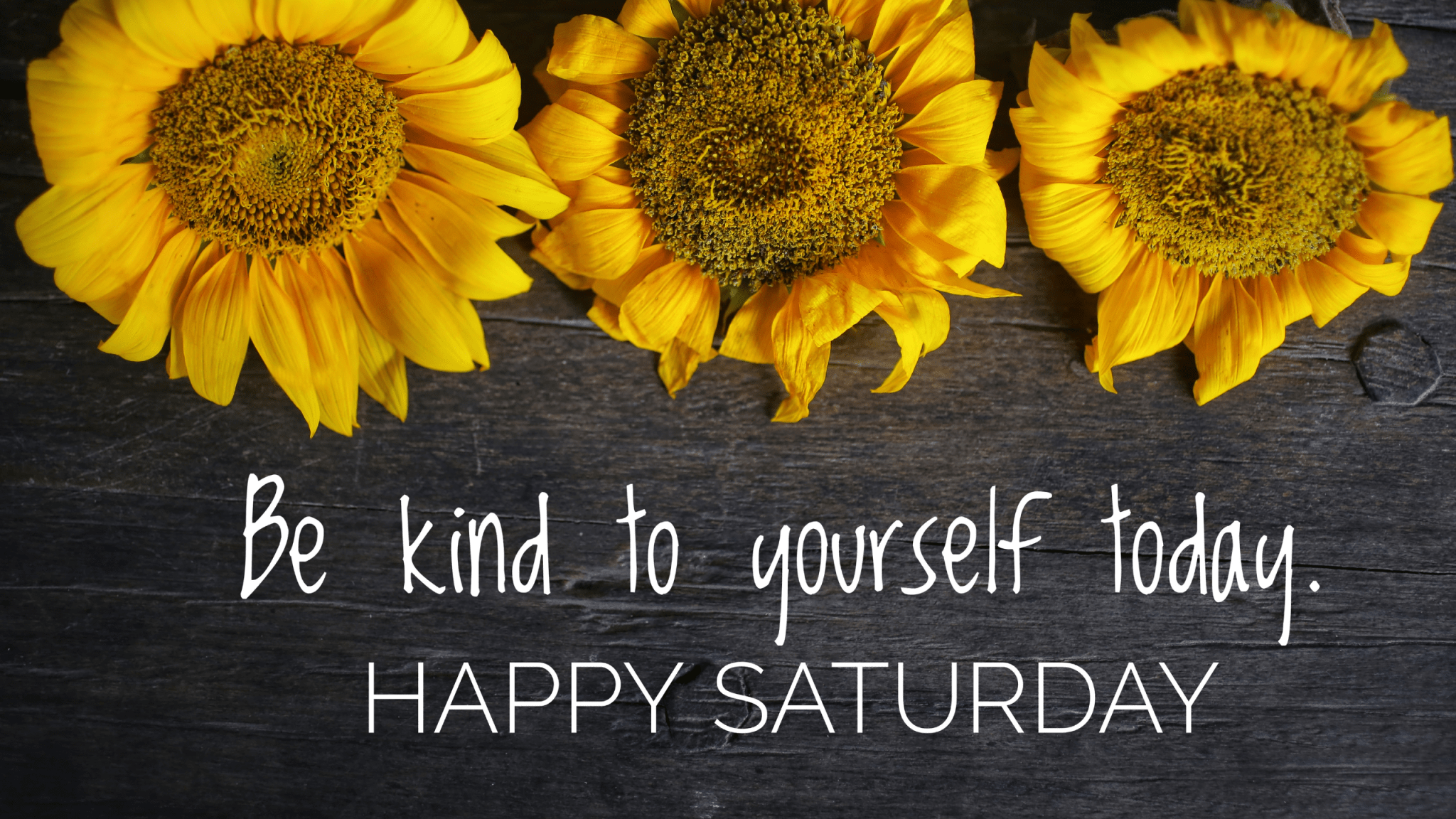 Texas Braces for First Freeze of Fall as Cold Front Sweeps In – KNCT